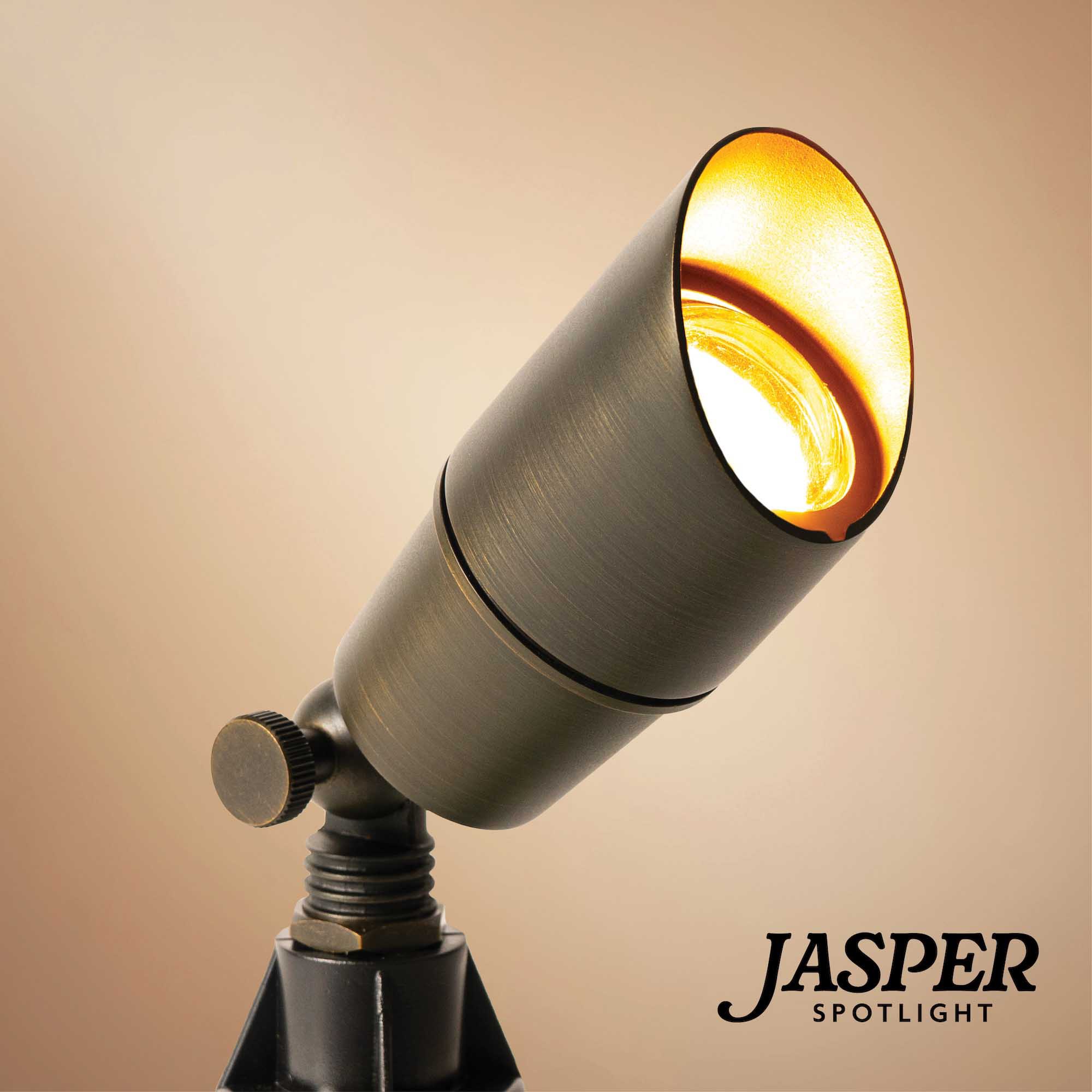 Jasper Low Voltage Landscape Lighting Outdoor Spotlight, Antique Bronze ...