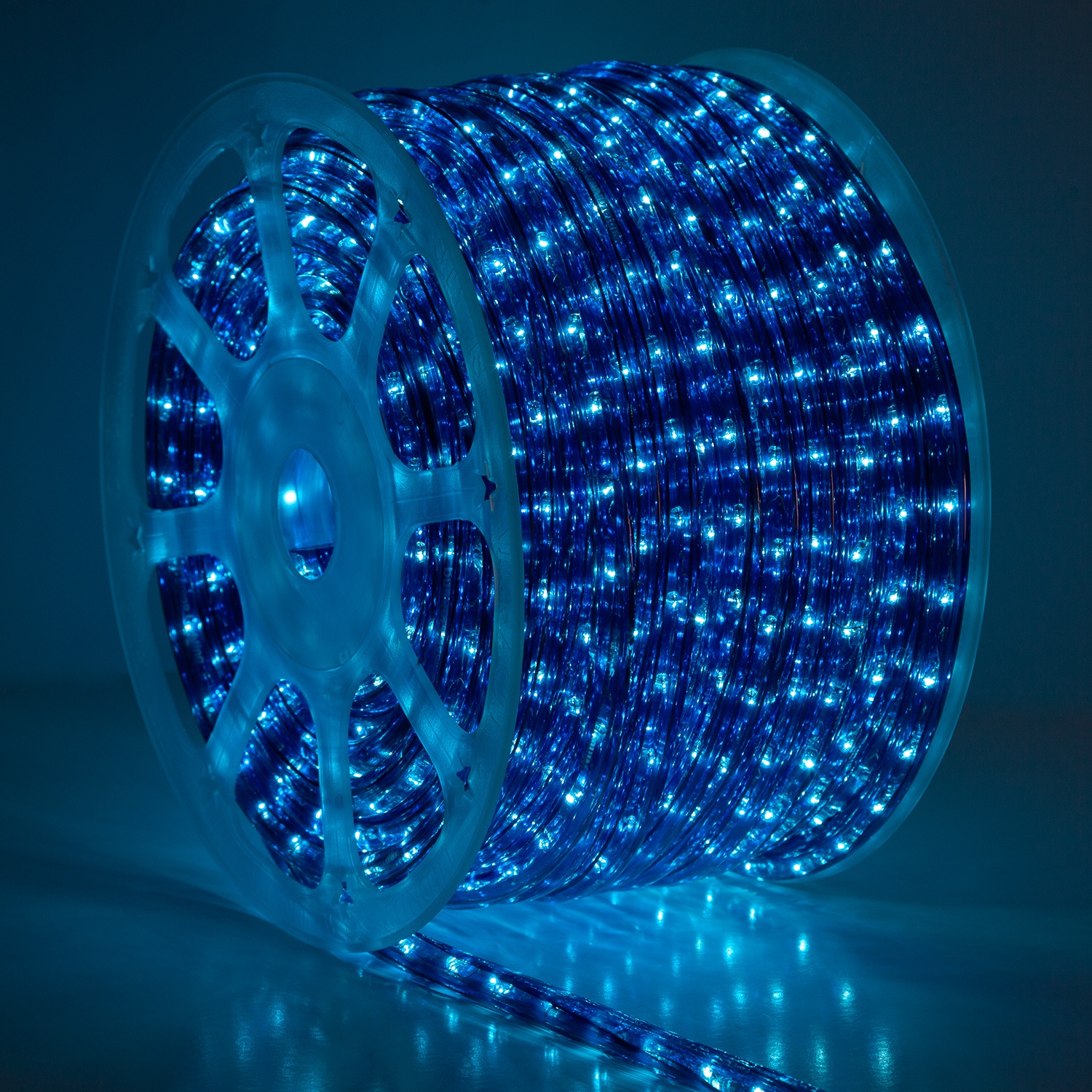 Blue Rope Light, 120 Volt - Wintergreen Corporation