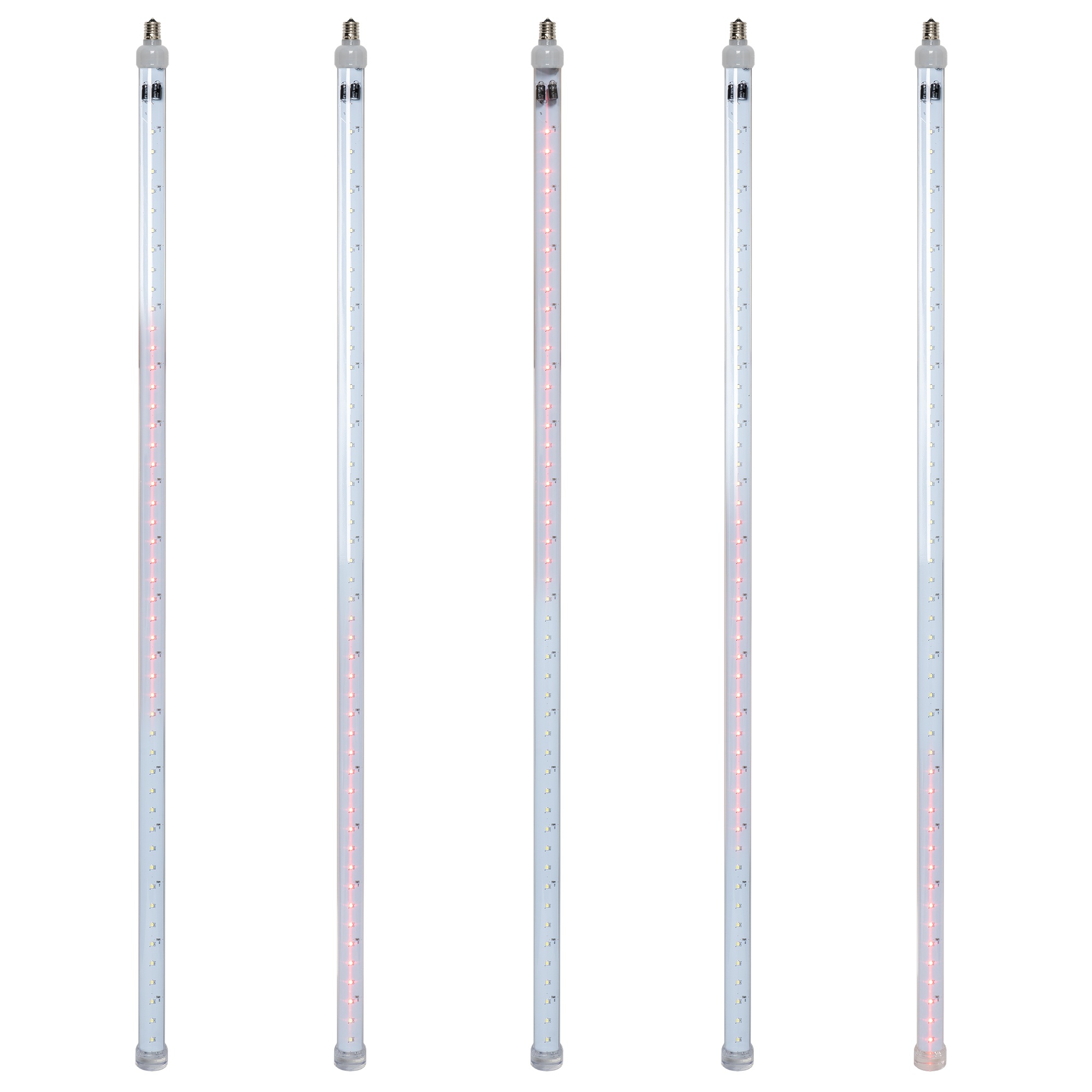 T8 120V Cascade Red LED Tubes - Wintergreen Corporation