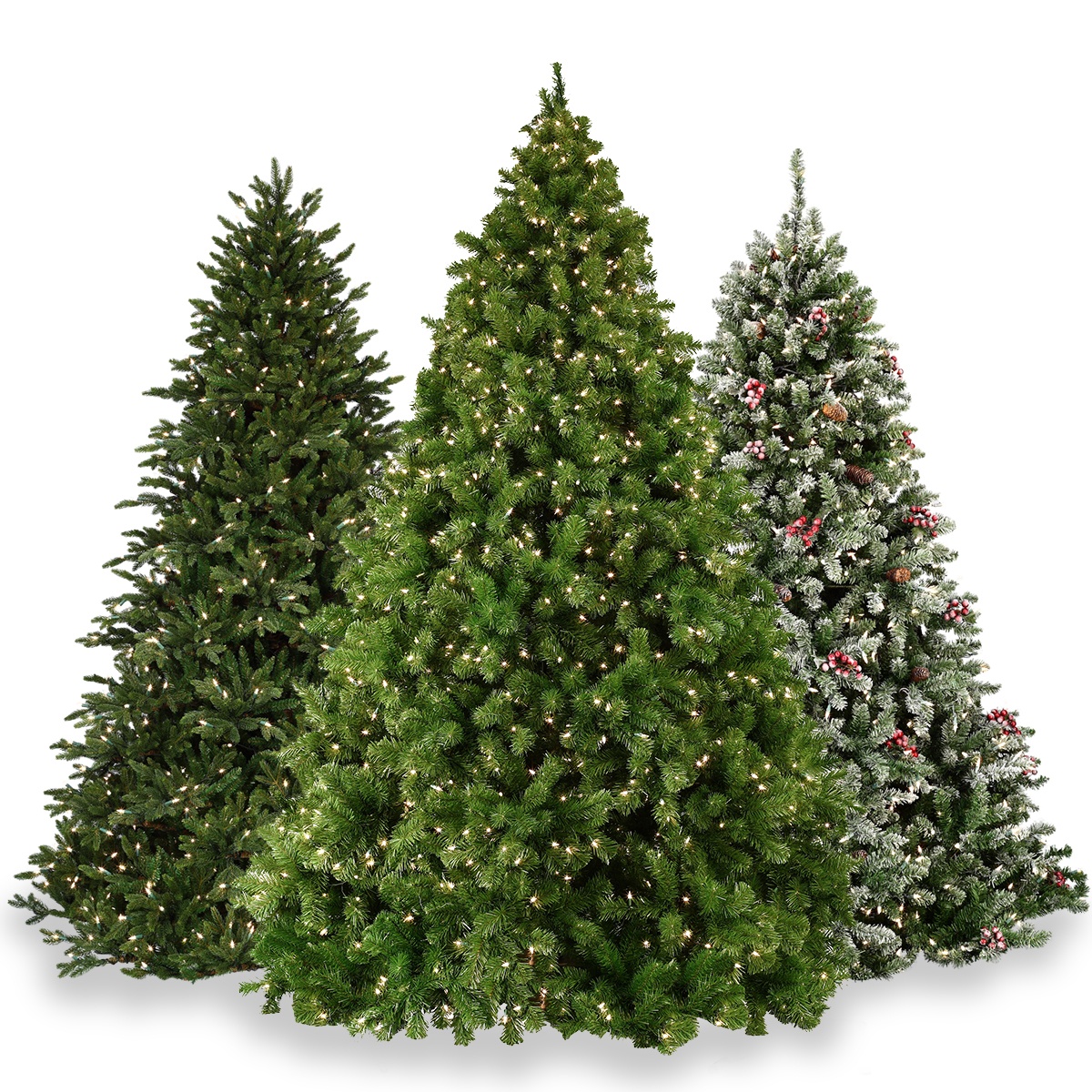 Christmas Trees - Wintergreen Corporation
