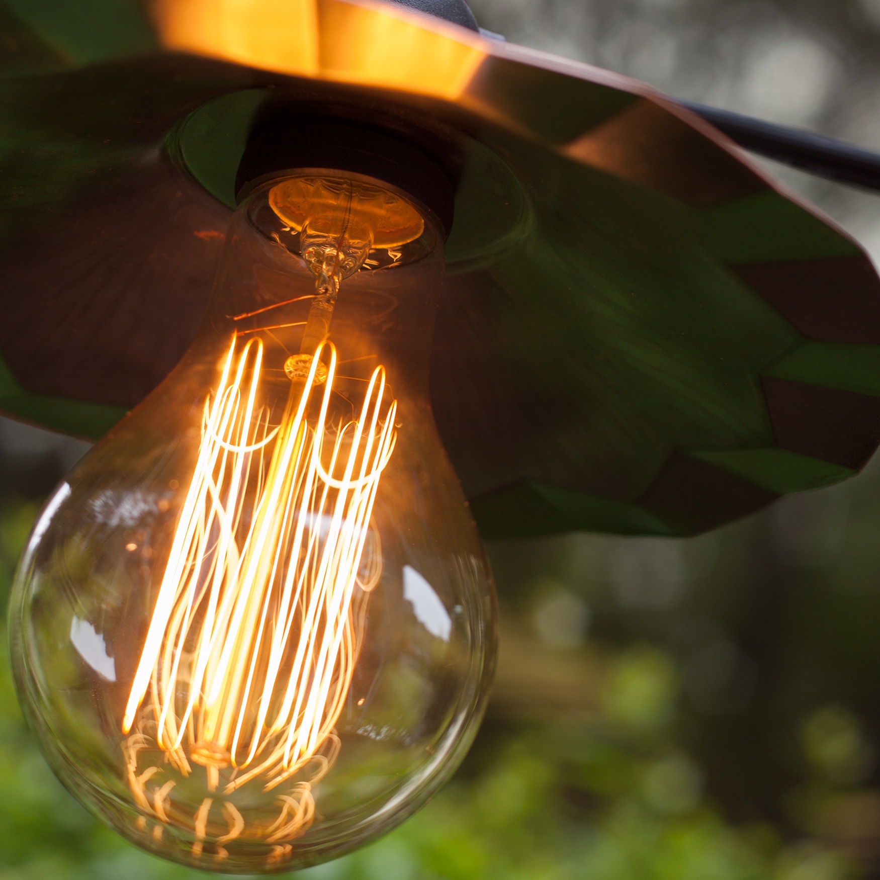 Edison Bulbs - Wintergreen Corporation